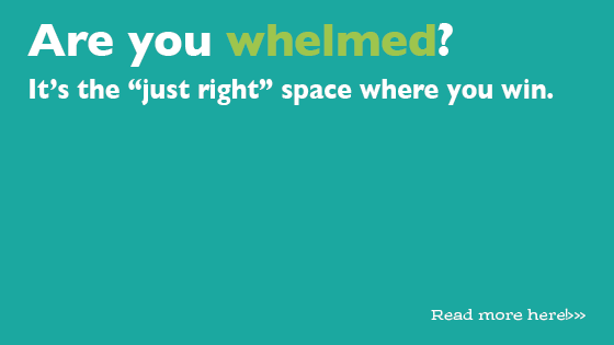 International Association of Professional Quilters Blog » Blog Archive ...